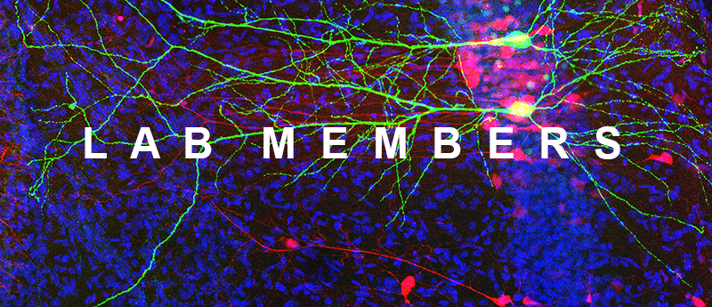 Lab Members | Sando Lab | Vanderbilt University