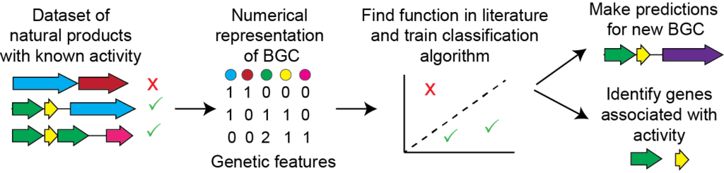 Research | Walker Lab | Vanderbilt University