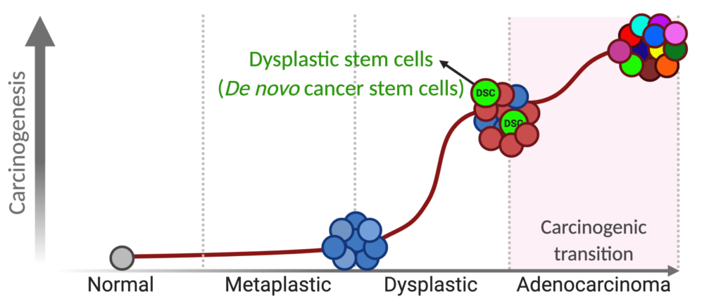 RESEARCH | Choi Lab | Vanderbilt University