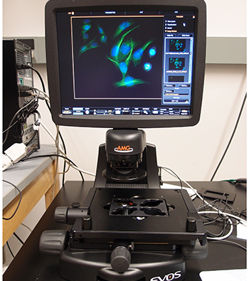 Microscopy | CDB Equipment Resource | Vanderbilt University
