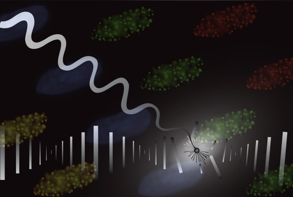 10000 Trillion Cell Divisions Per Lifetime 6 Billion Base Pairs Per Cell Thousands Of Dna 