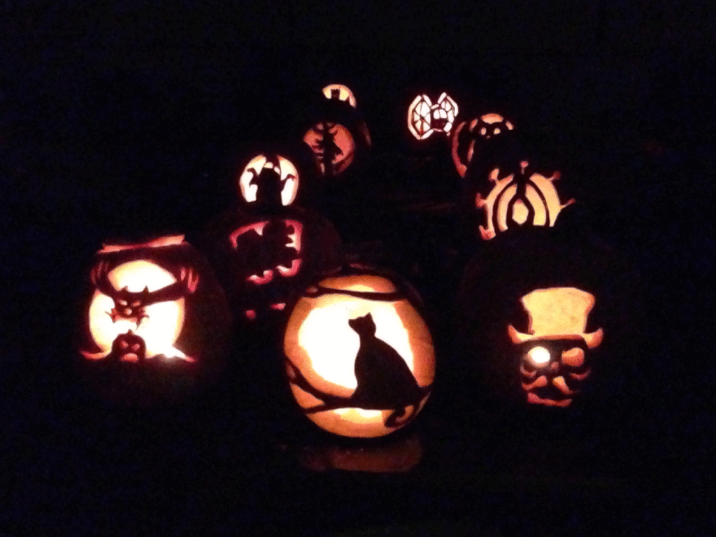 Annual pumpkin carving at Halloween | Cortez Lab | Vanderbilt University