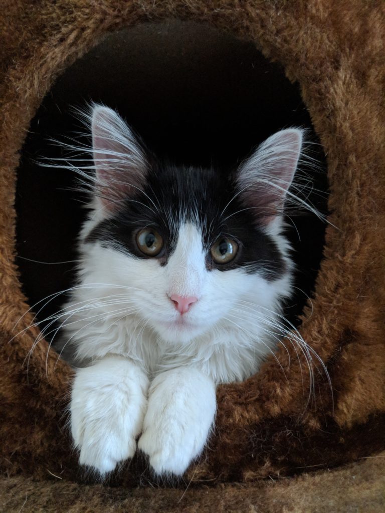 Holly Sanders | Kaverina Lab | Vanderbilt University