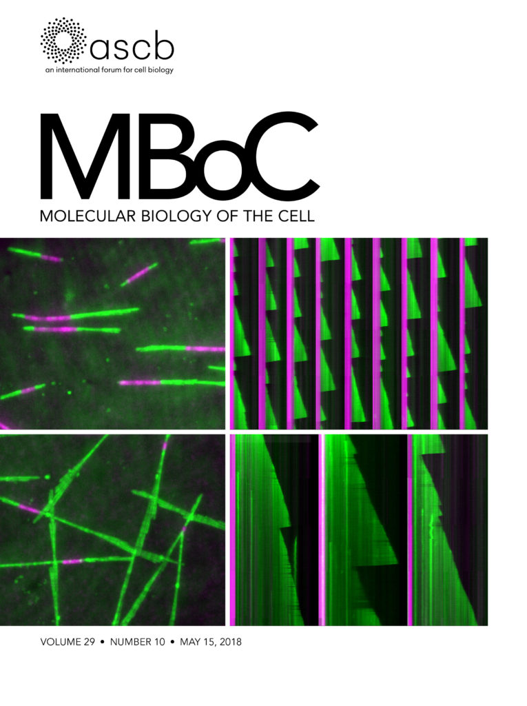 Beth’s paper gets the MBoC cover! | Zanic Lab | Vanderbilt University