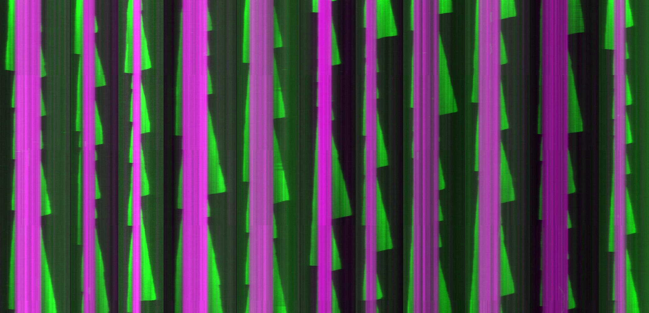 Zanic Lab Research | Zanic Lab | Vanderbilt University