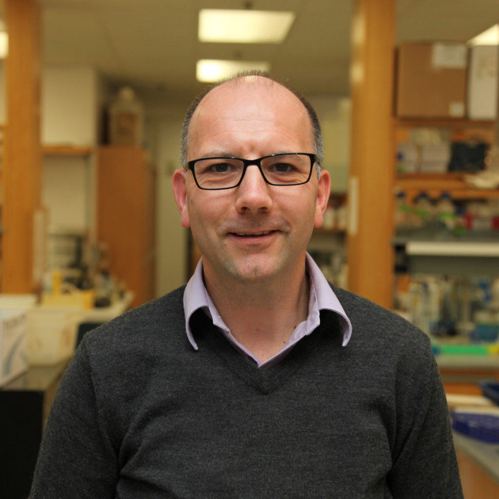 Gregor Neuert | Neuert Lab for Quantitative Systems Biology ... Gregor Neuert | Neuert Lab for Quantitative Systems Biology ...