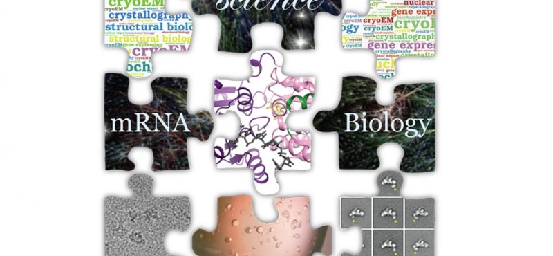 Ren Lab | Vanderbilt University