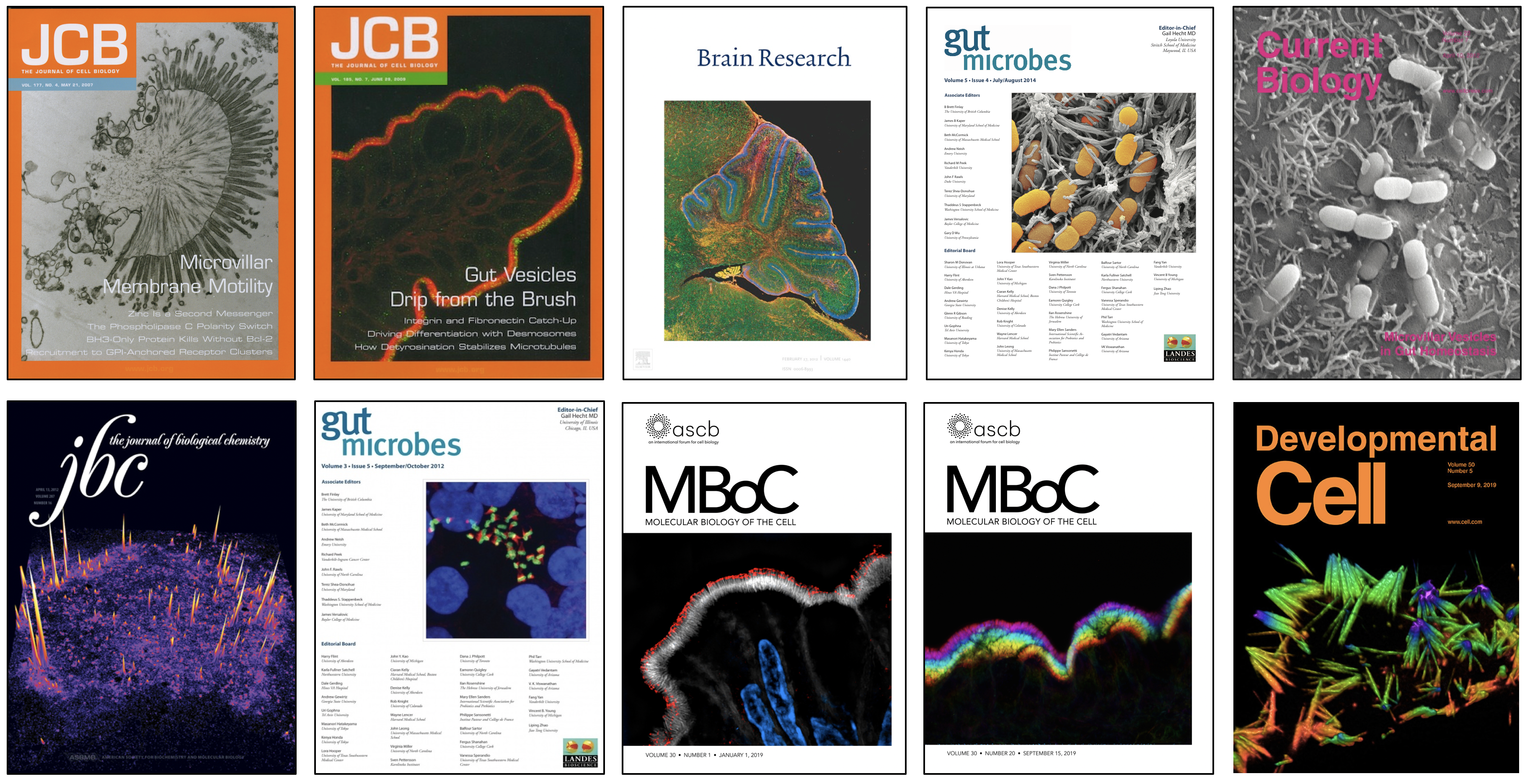 Tyska Lab Journal Covers | Tyska Lab | Vanderbilt University