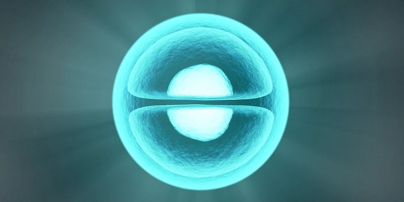 Project 1: Modeling the SCLC Phenotype Space | Center for Cancer ...