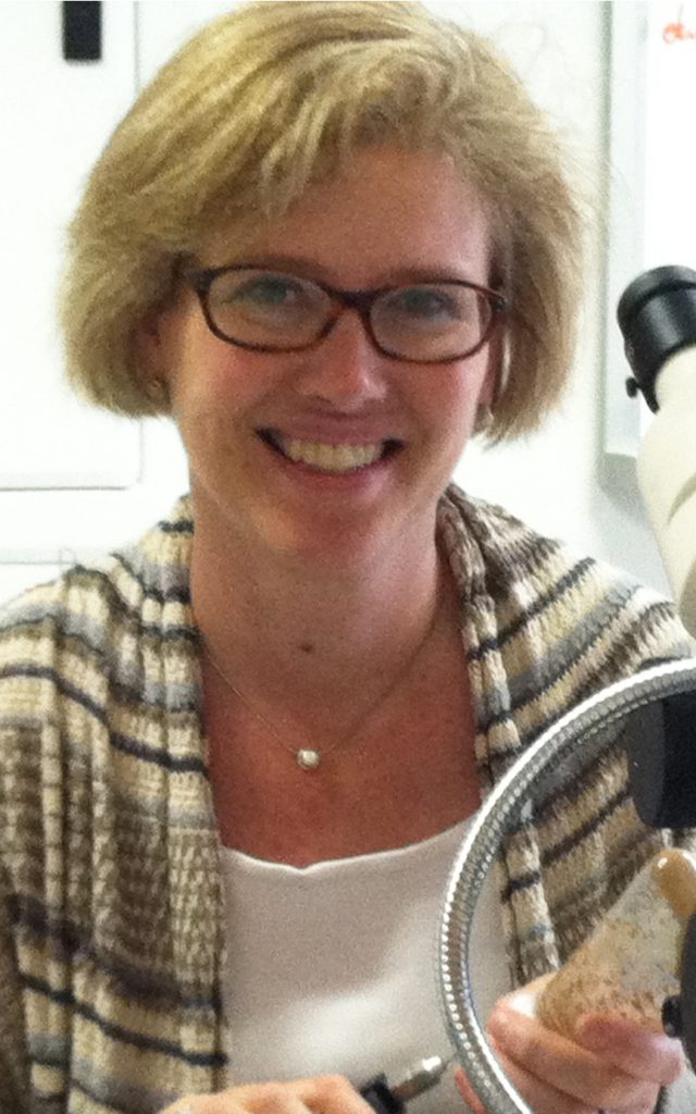 Andrea Page-McCaw, Ph.D. | Department of Cell and Developmental Biology ...