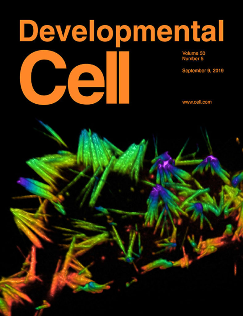 Journal Covers & Publications | Department of Cell and Developmental ...