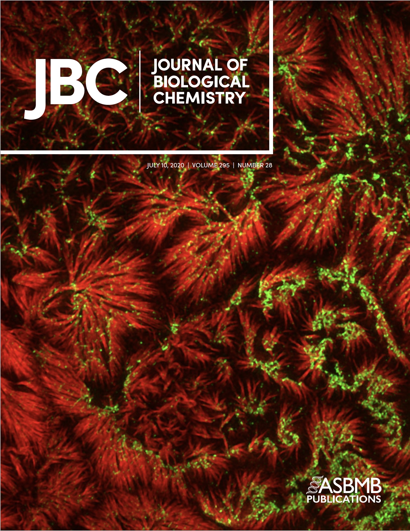 Journal Covers & Publications | Department of Cell and Developmental ...