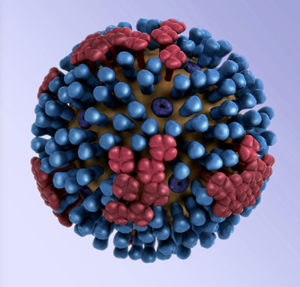 This is why we can’t have nice things: How influenza impairs the host ...