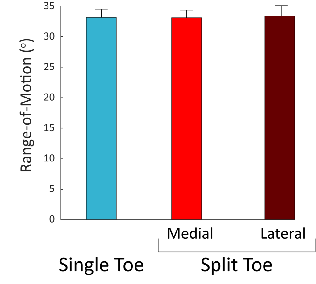 The Biomechanics of Walking and Turning With a Split Toe Prosthesis ...