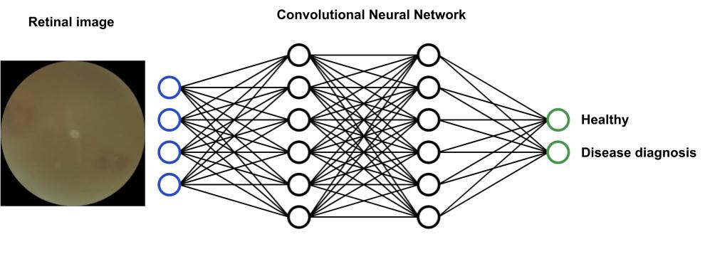 Automated Diagnosis Of 7 Retinal Diseases With Convolutional Neural Networks In A Dataset Of