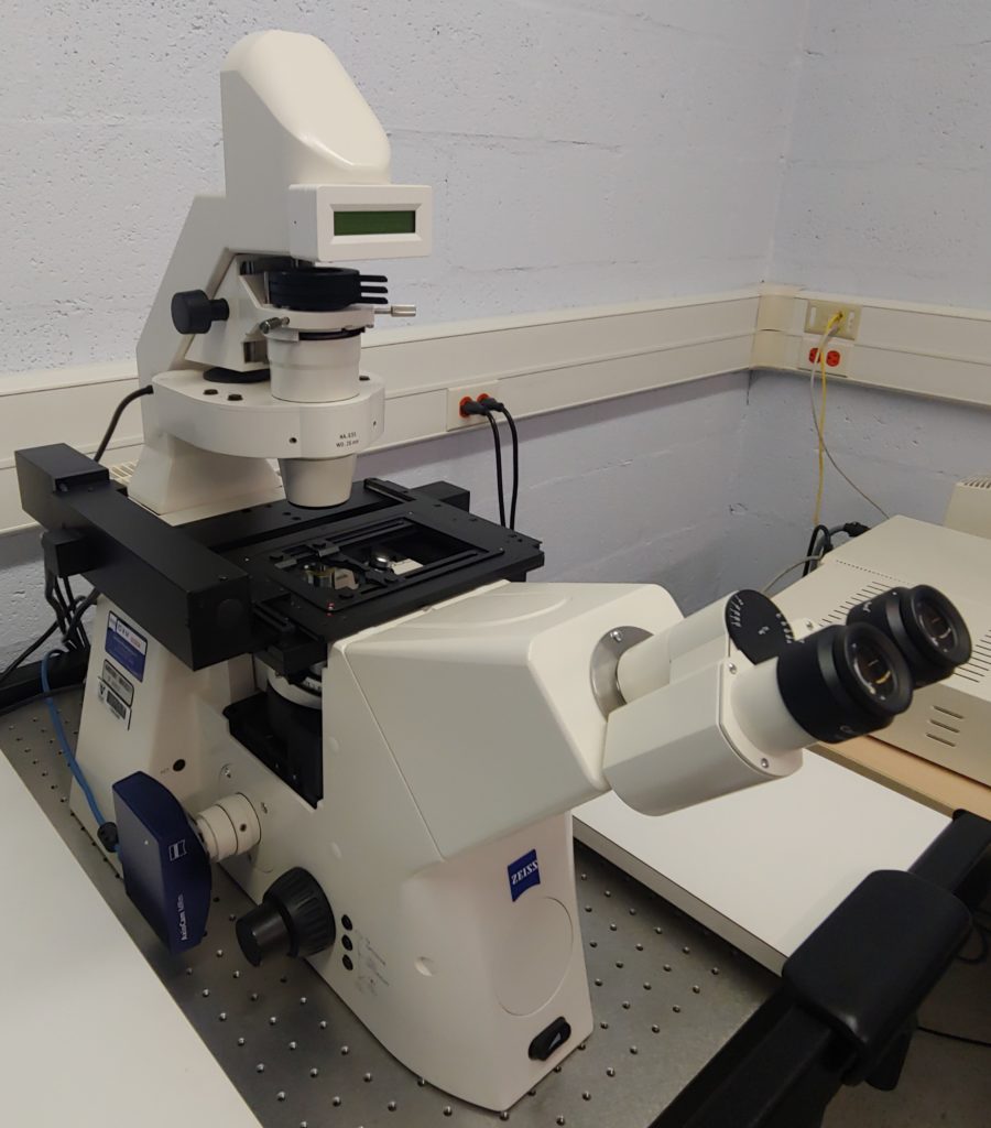 Optical microscope | Materials Durability and Environmental Research ...