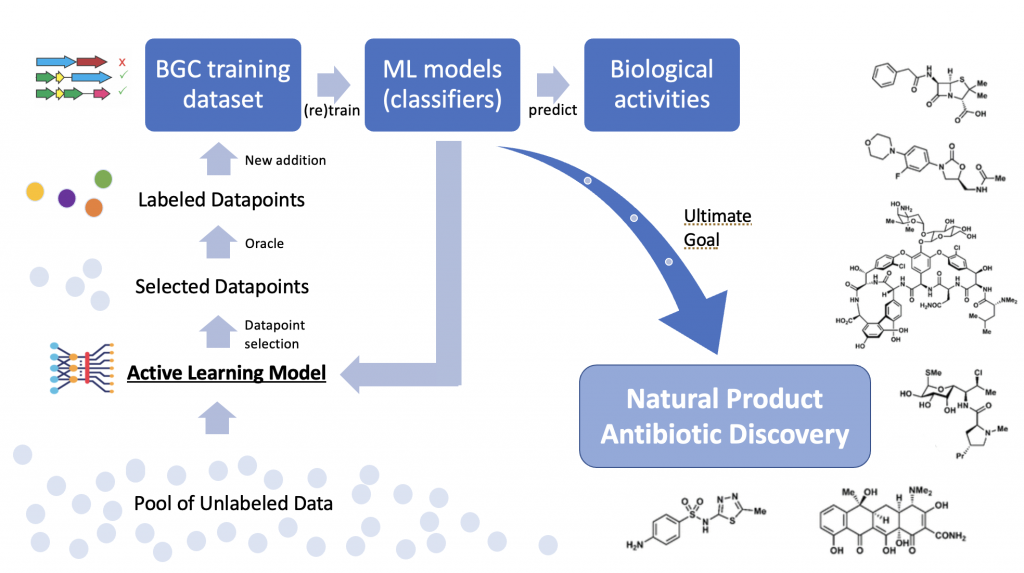 Active Learning Strategies for Efficient Growth of BGC Database (DSI-SRP) - DSIDSI | Vanderbilt ...