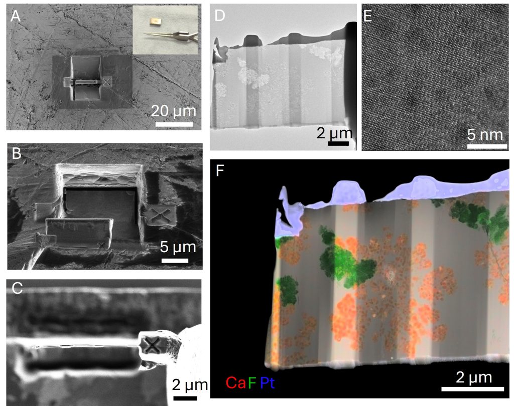 How Can FIB-SEM Support Your Research? | VINSE | Vanderbilt University